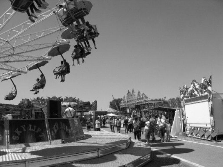 POVEŞTI DIN SAT: Vergelul și angajarea - Bistrițeanul.ro