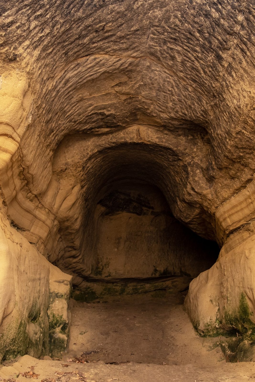 FOTO: Grota contelui ce a luptat împotriva lui Napoleon, prinsă într-un ...
