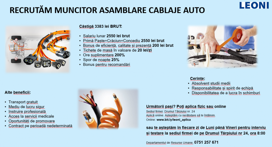 Leoni Bistrița are nevoie de Administrator IT: NOI locuri de muncă, în ...