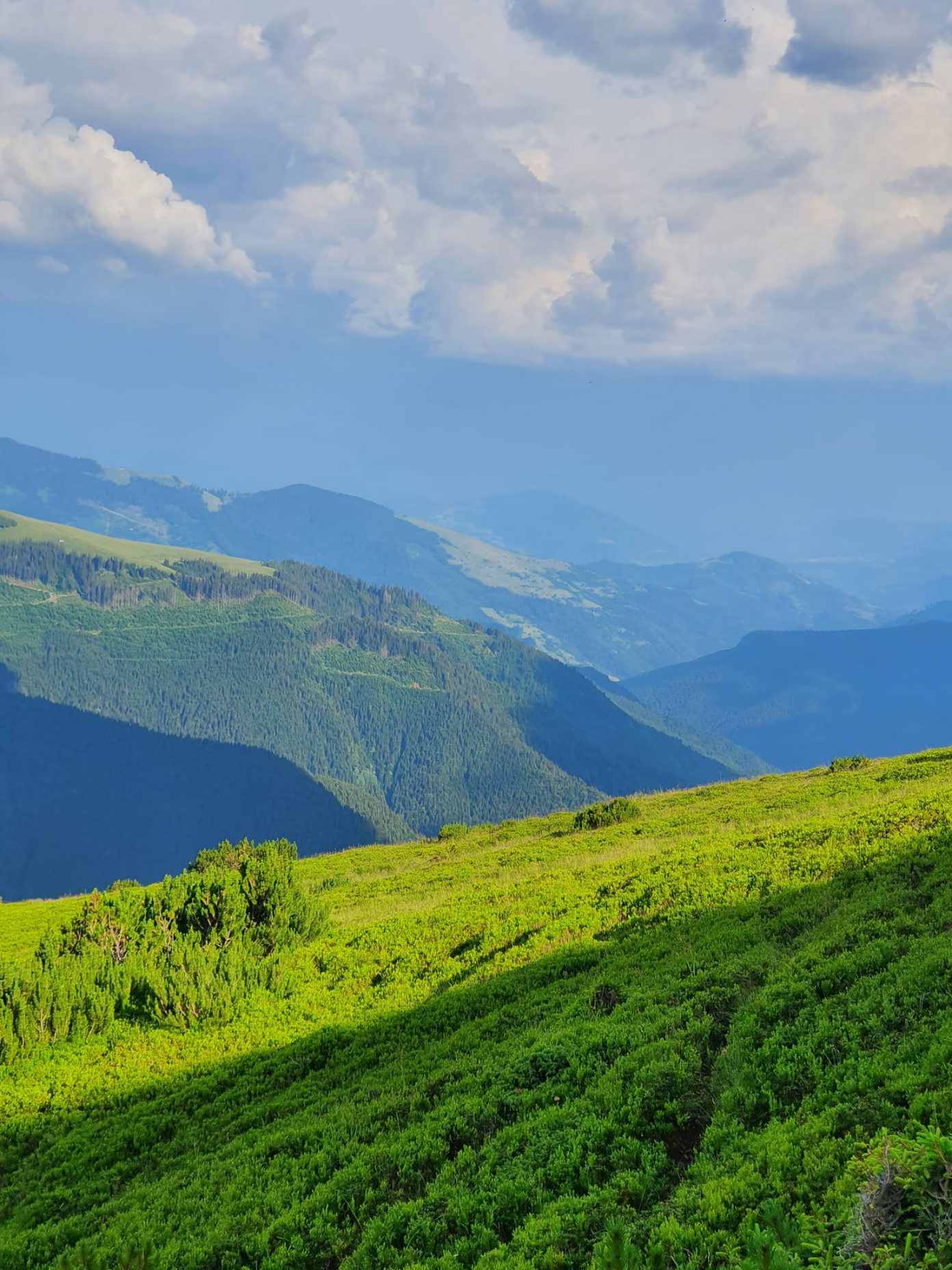 Îți planifici o drumeție pe munte?? SFATURI esențiale în perioada ...