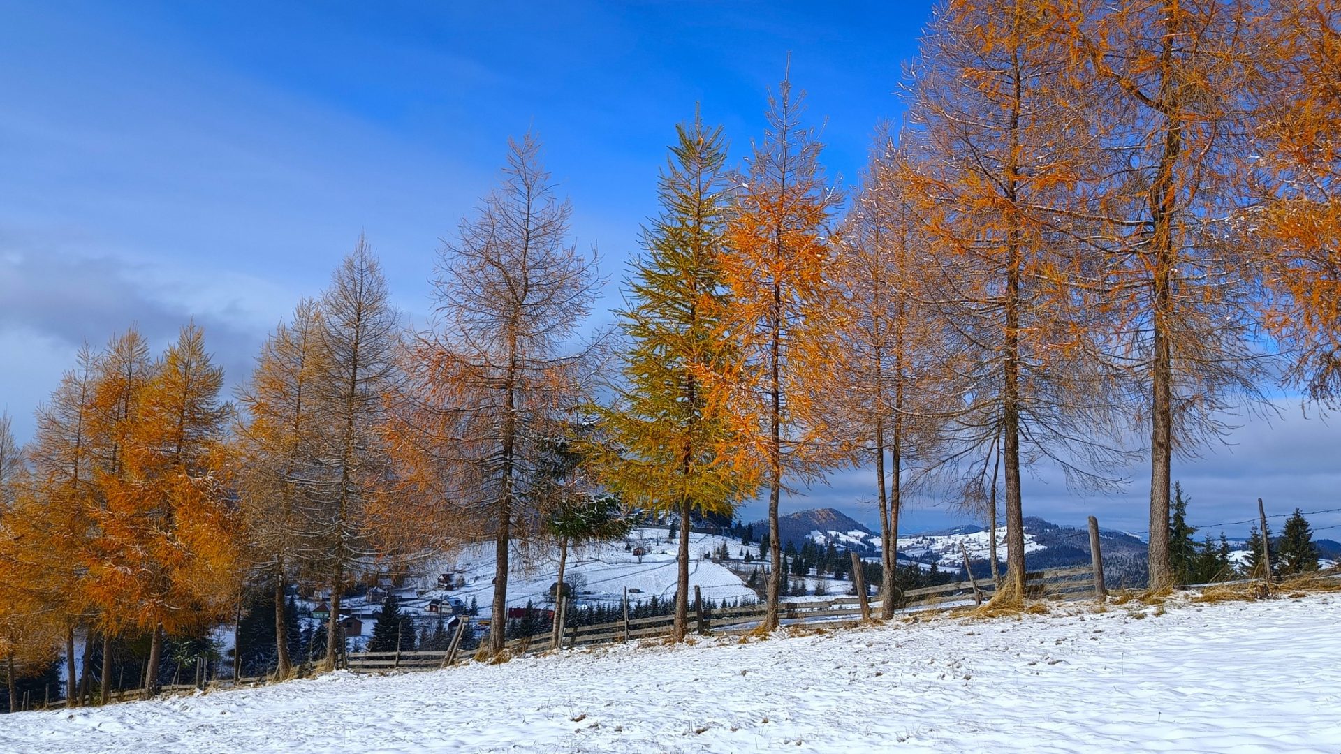 FOTO: Imagini cât o mie de cuvinte. Peisaje spectaculoase, de toamnă ...
