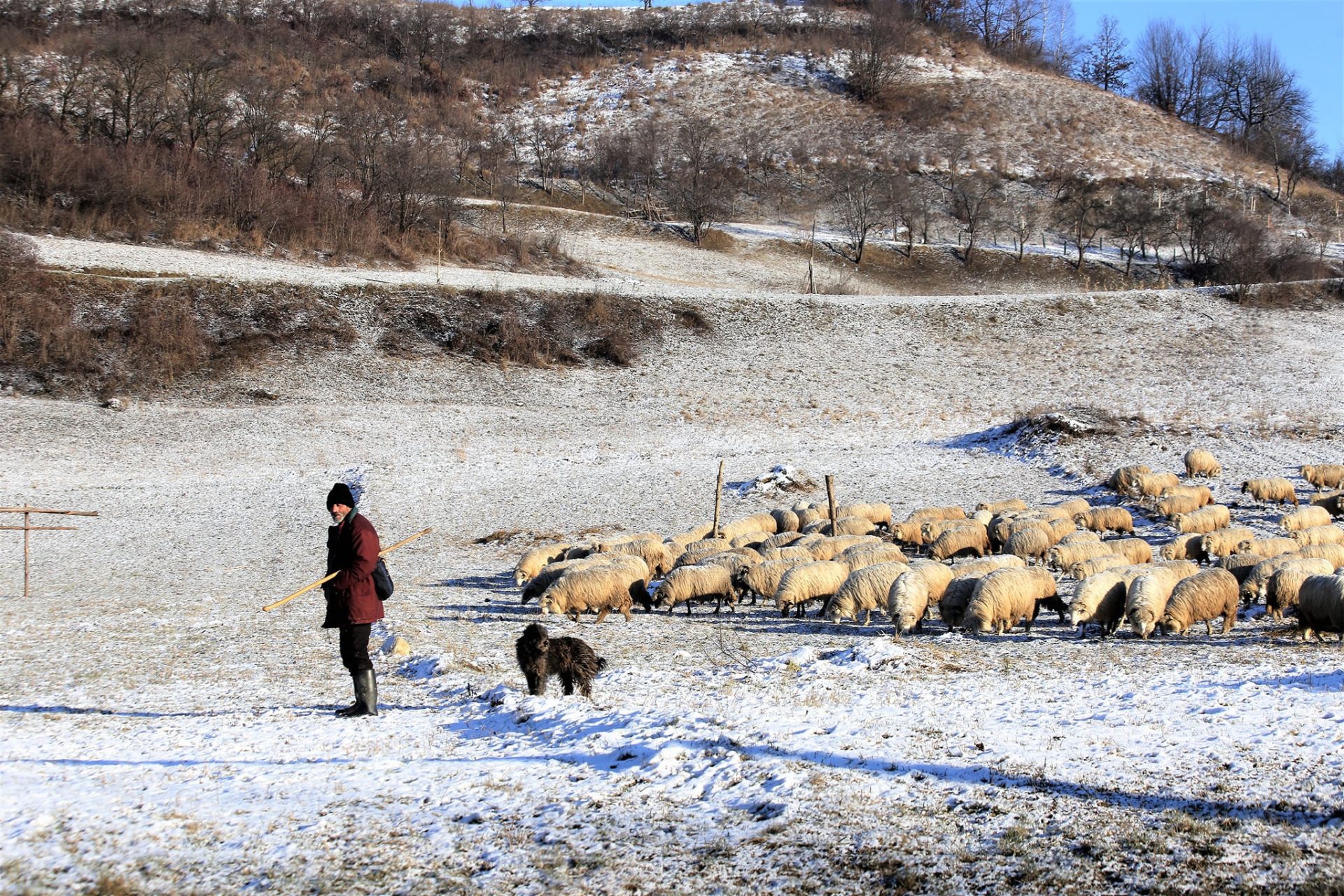 PRO-VERB: Ce ție nu îți place altuia nu-i face... - Bistrițeanul.ro