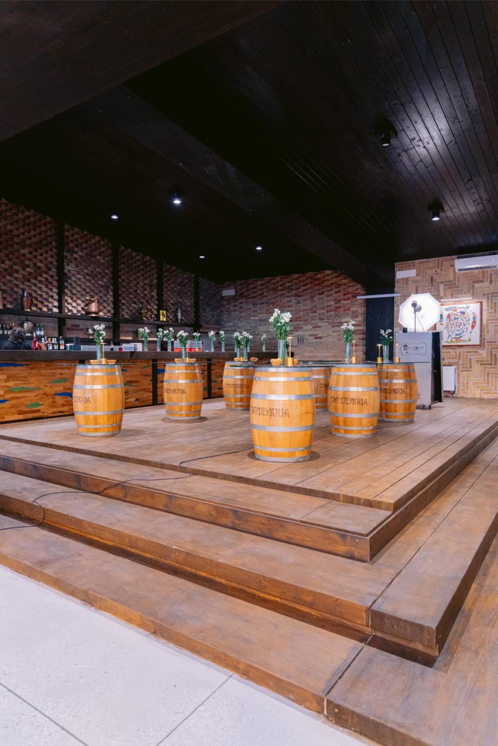 FOTO - Se deschide publicului Domeniul Transilvania, din Jelna! În 8 ...